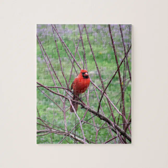 Red Cardinal Bird Sitting on Branch Jigsaw Puzzle | Zazzle