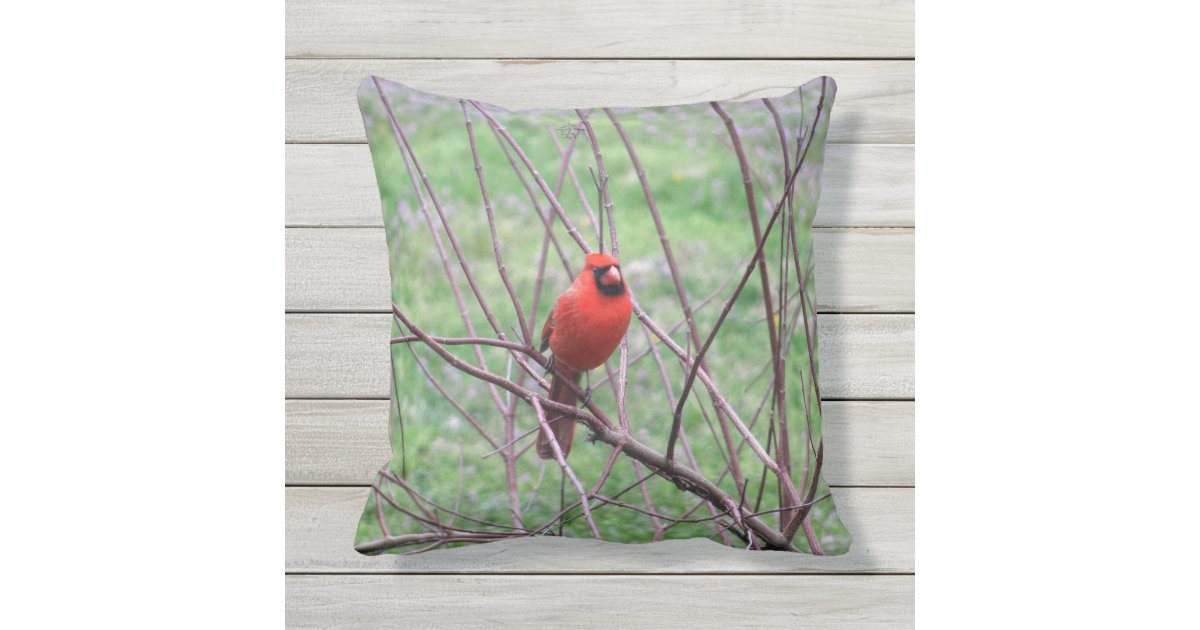 Red Cardinal Bird Throw Pillow | Zazzle.com