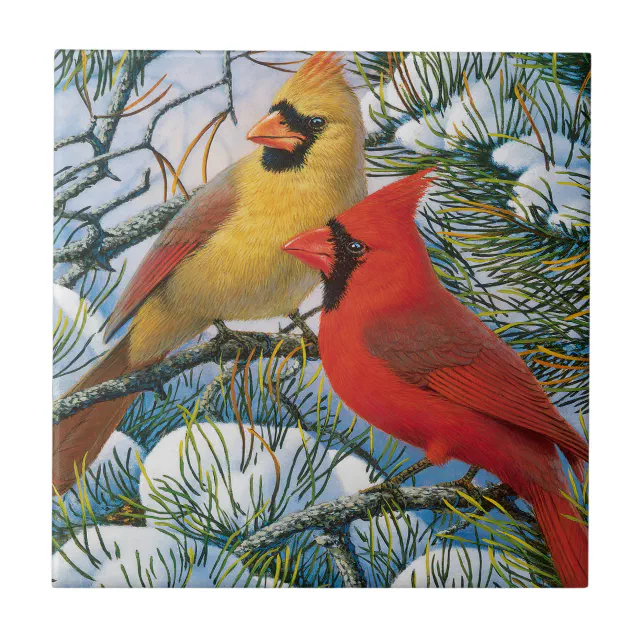 Red Cardinal Birds Winter Snow Ceramic Ceramic Tile | Zazzle