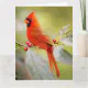 RED CARDINAL BIRTHDAY GREETING CARD | Zazzle