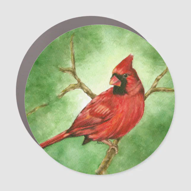 Red Cardinal Car Magnet | Zazzle