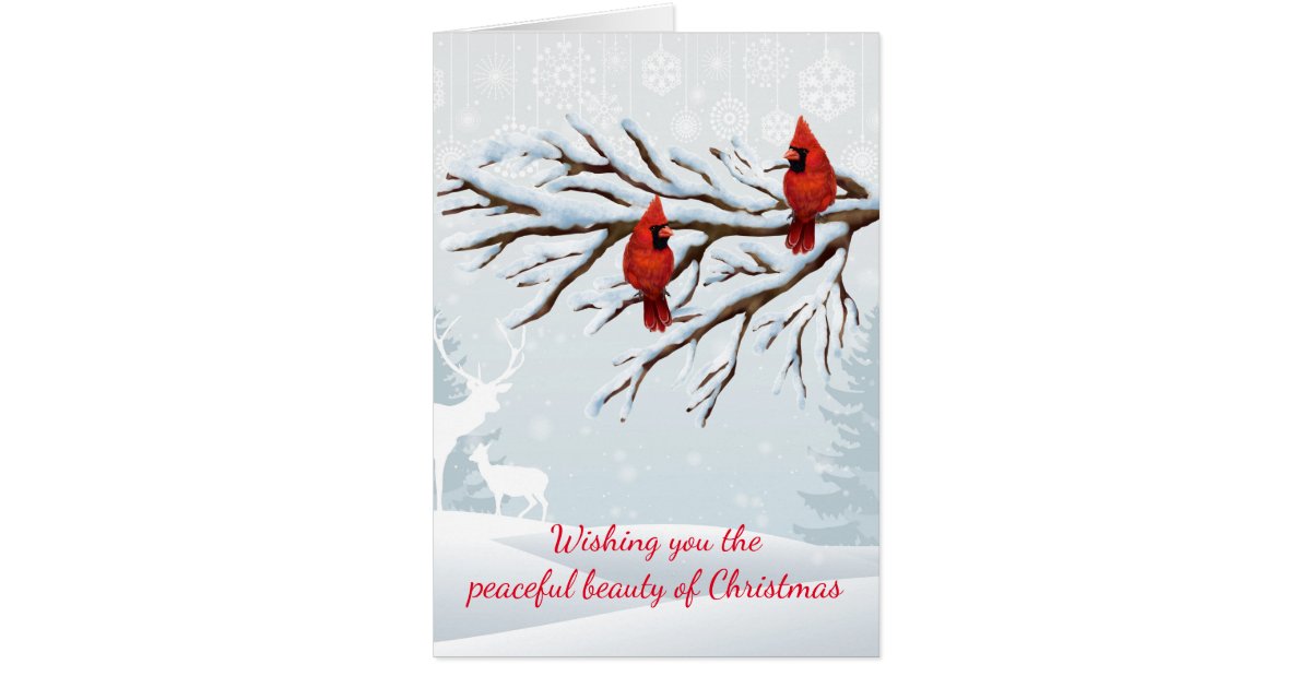Red Cardinal Christmas Card | Zazzle