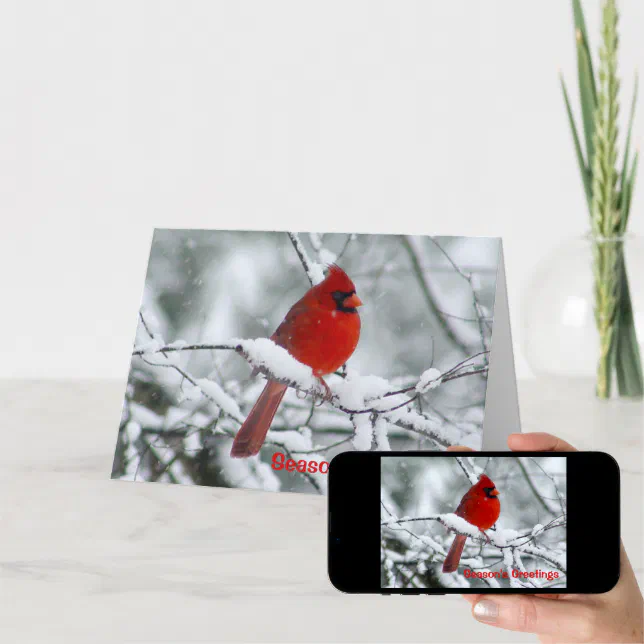 Red Cardinal Christmas Greeting Card | Zazzle