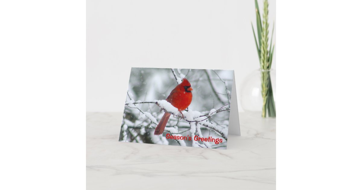 Red Cardinal Christmas Greeting Card | Zazzle