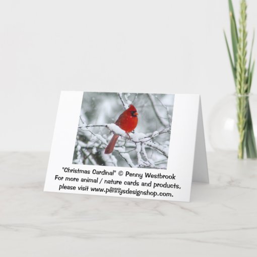 Red Cardinal Christmas Greeting Card | Zazzle