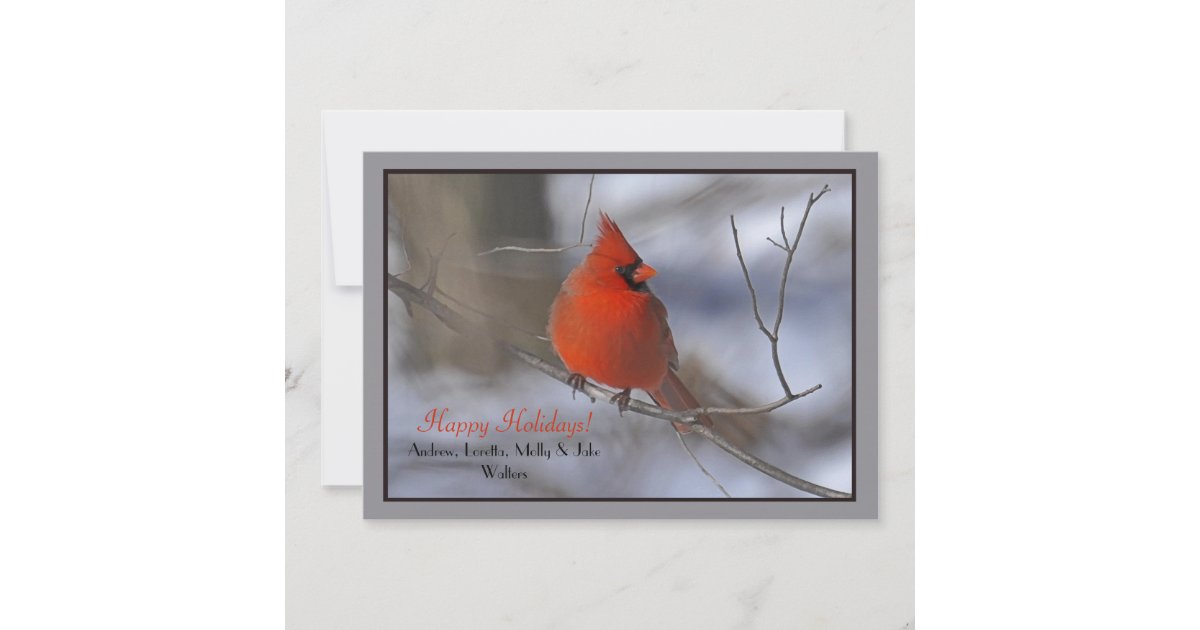 Red Cardinal Holiday Card | Zazzle