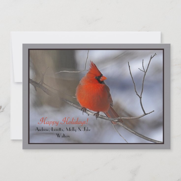 Red Cardinal Holiday Card | Zazzle