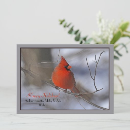 Red Cardinal Holiday Card | Zazzle
