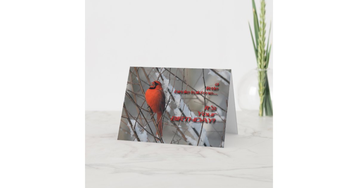 Red Cardinal In Snow - Birthday Card | Zazzle