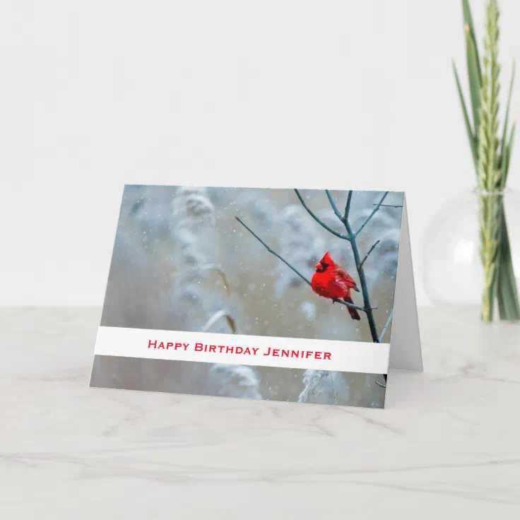 Red Cardinal in Winter Nature Photo Birthday Card | Zazzle