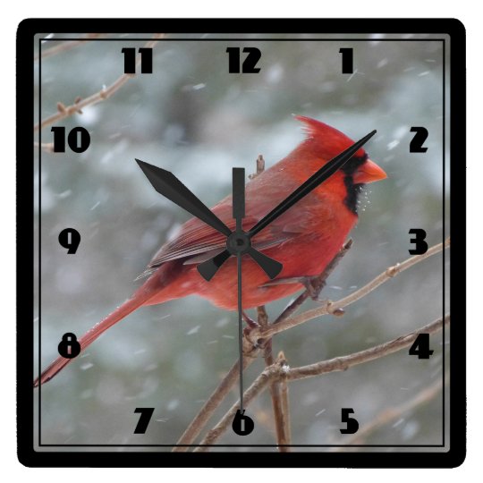 Red cardinal in Winter Square Wall Clock | Zazzle.com