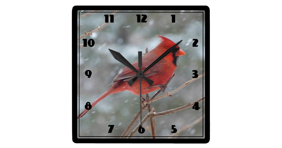 Red cardinal in Winter Square Wall Clock | Zazzle.com