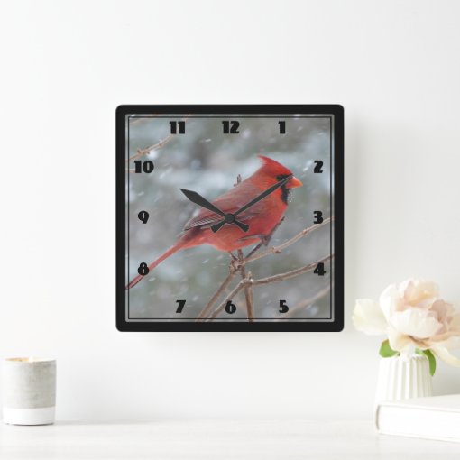 Red cardinal in Winter Square Wall Clock | Zazzle