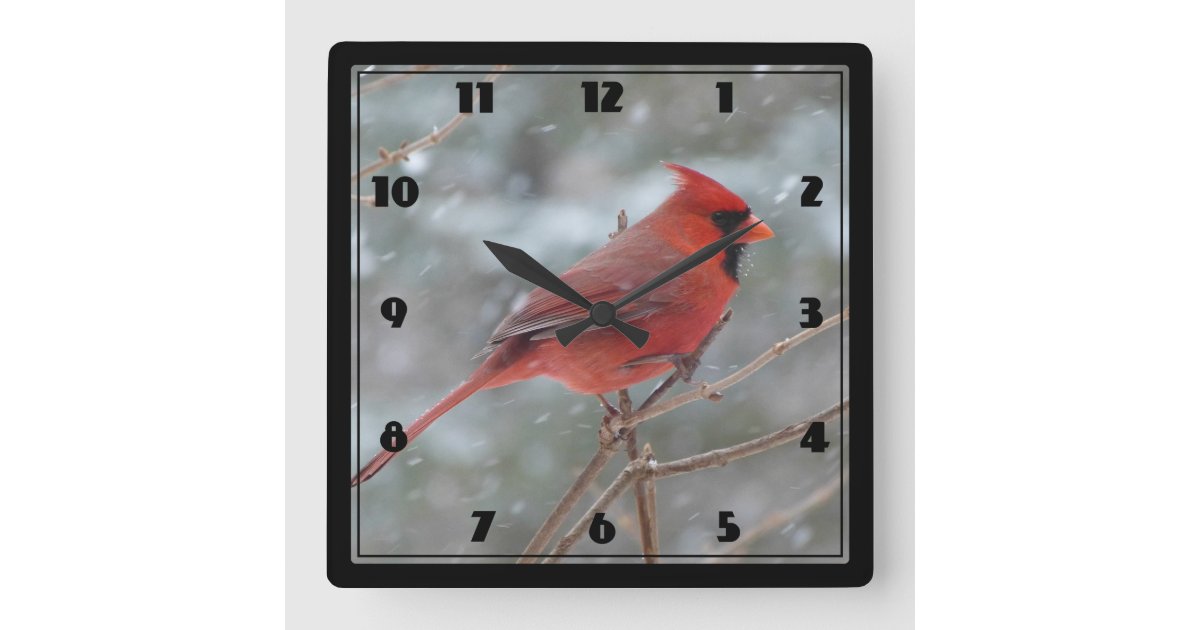 Red cardinal in Winter Square Wall Clock | Zazzle