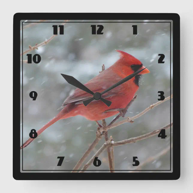 Red cardinal in Winter Square Wall Clock | Zazzle