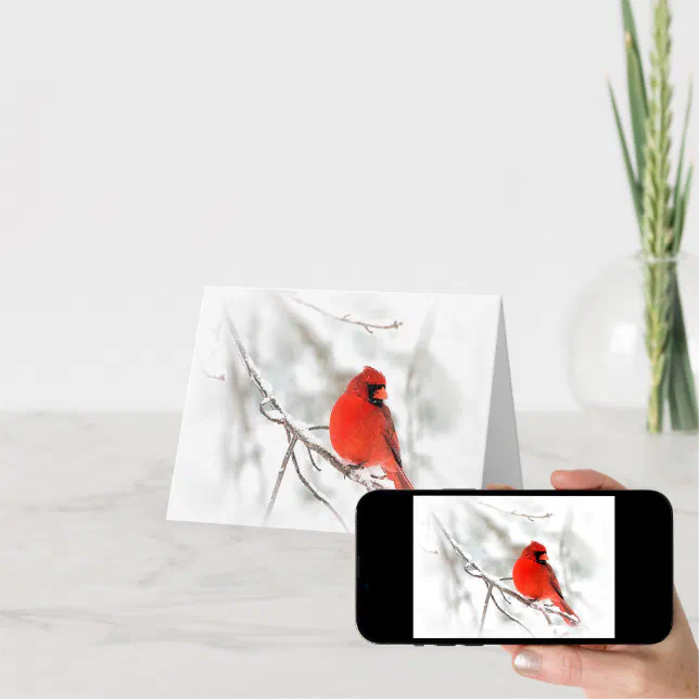Red Cardinal (Note Cards) Card | Zazzle