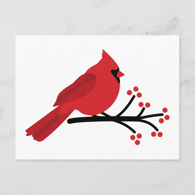 Red Cardinal Postcard | Zazzle