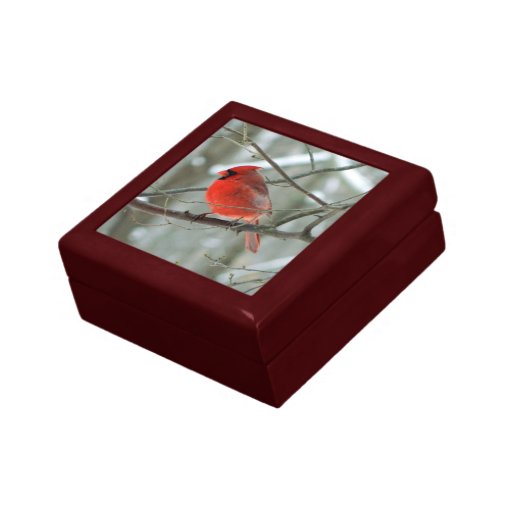 Red Cardinal(Side View) gift box | Zazzle