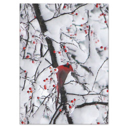 Red Cardinal Snow Tree Photo Tissue Paper | Zazzle