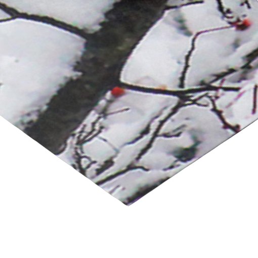 Red Cardinal Snow Tree Photo Tissue Paper | Zazzle