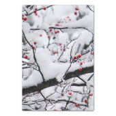 Red Cardinal Snow Tree Photo Tissue Paper | Zazzle