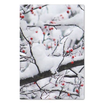 Red Cardinal Snow Tree Photo Tissue Paper | Zazzle