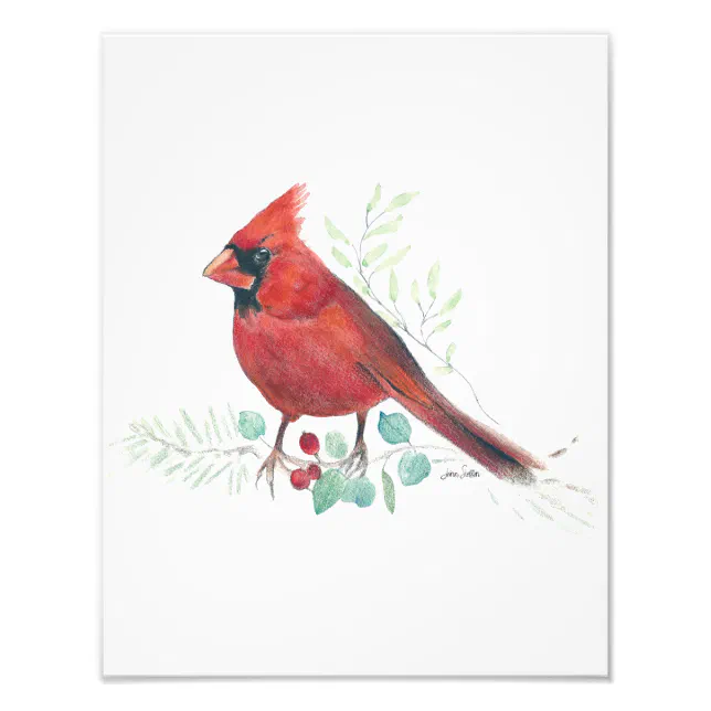 Red Cardinal Watercolor Photo Print | Zazzle