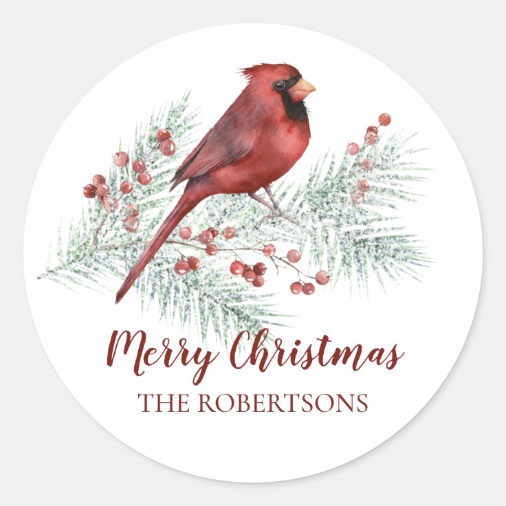 Red Cardinal Winter Pine Merry Christmas Classic Round Sticker | Zazzle
