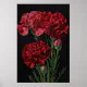 Red Carnations Flower Art Print Poster | Zazzle