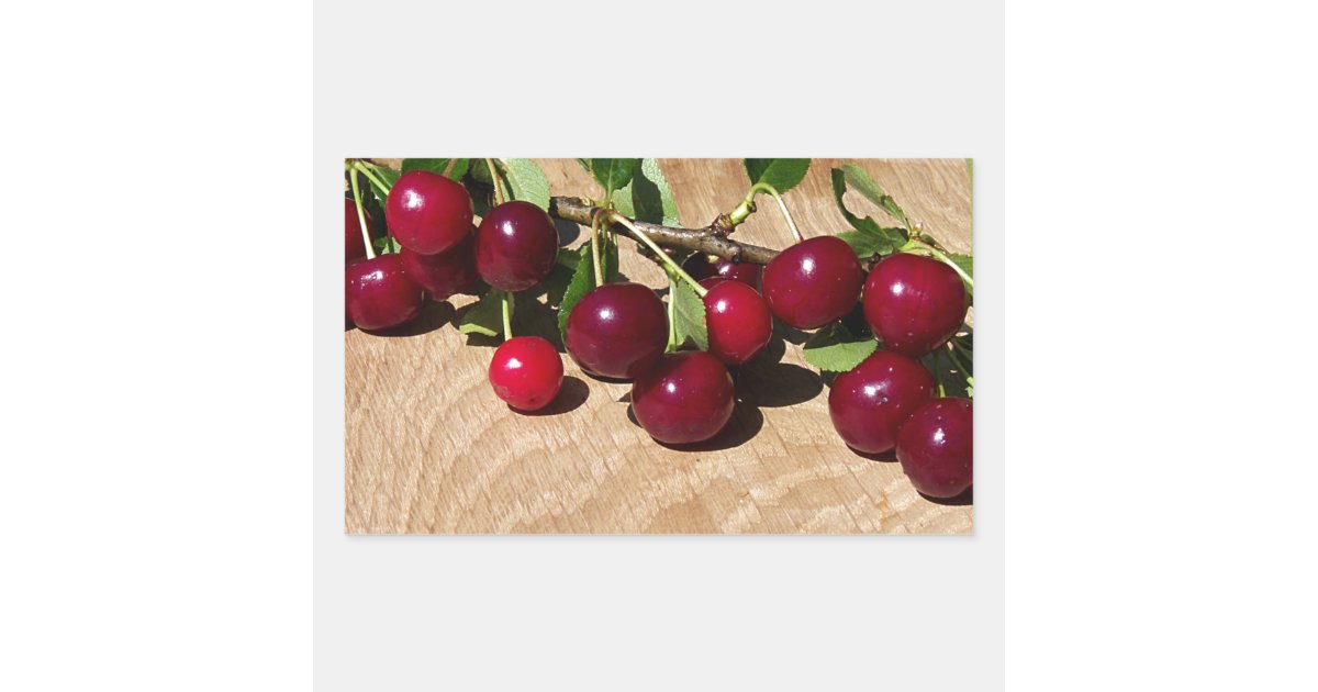 red cherries rectangular sticker | Zazzle