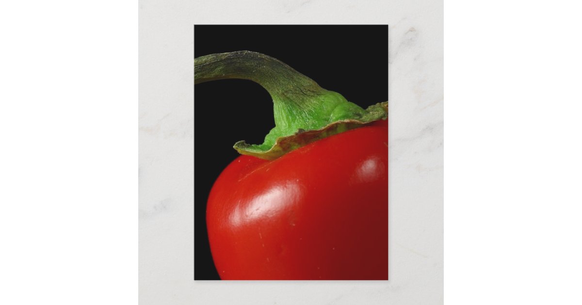 Red chili postcard | Zazzle