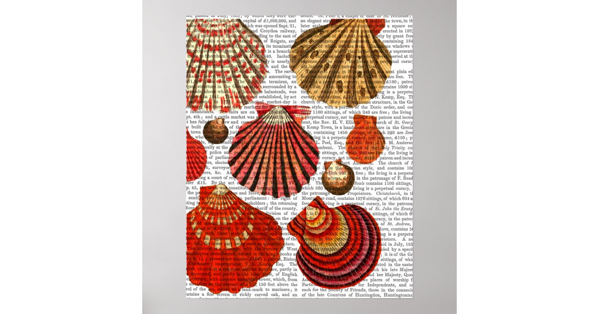 Red Clam Shells Poster | Zazzle