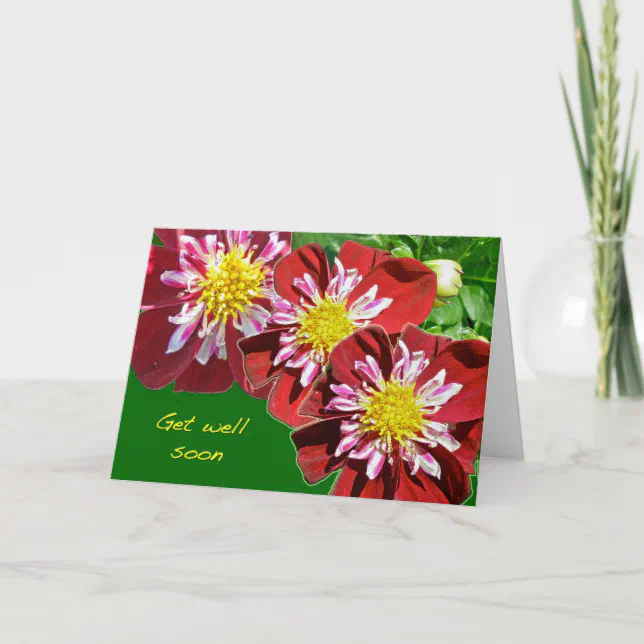 Red Dahlia Get Well Soon Card | Zazzle
