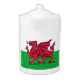 Red Dragon Celtic Flag of Wales & Welsh Teapot | Zazzle