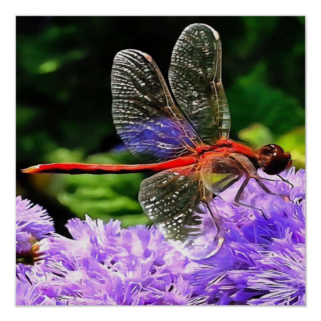 Red Dragonfly on Violet Purple Flowers Poster | Zazzle