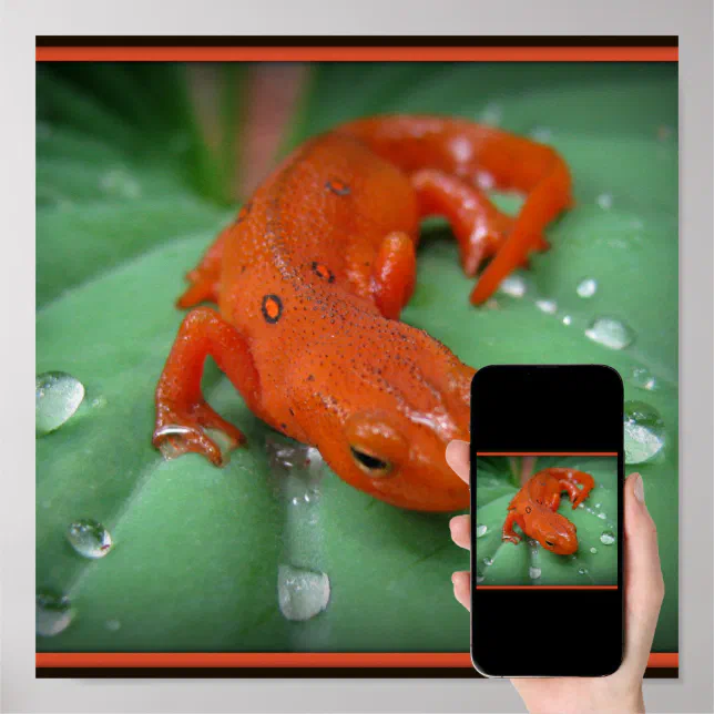 Red Eft Poster | Zazzle