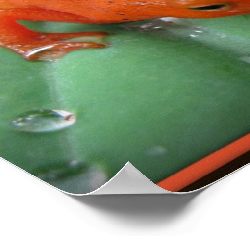 Red Eft Poster | Zazzle