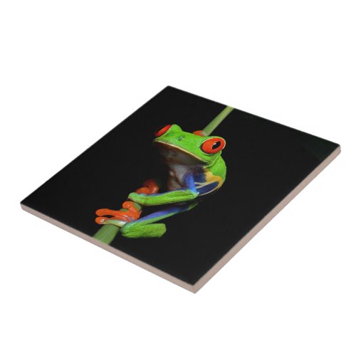 Red Eyed Painted Tree Frog Ceramic Tile | Zazzle