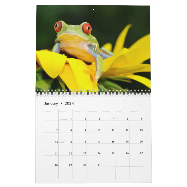 red eyed tree frog, Frogs 2011 calendar | Zazzle