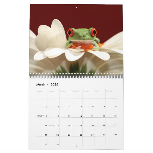 red eyed tree frog, Frogs 2011 calendar | Zazzle