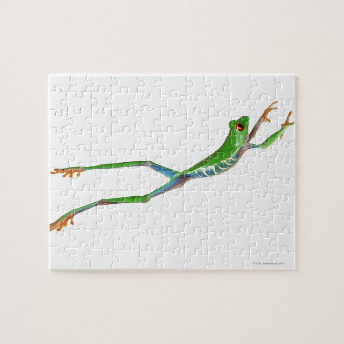 Red eyed tree frog jumping jigsaw puzzle | Zazzle.com