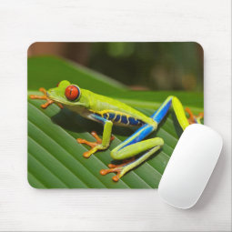 Red eyed tree frog mouse pad | Zazzle