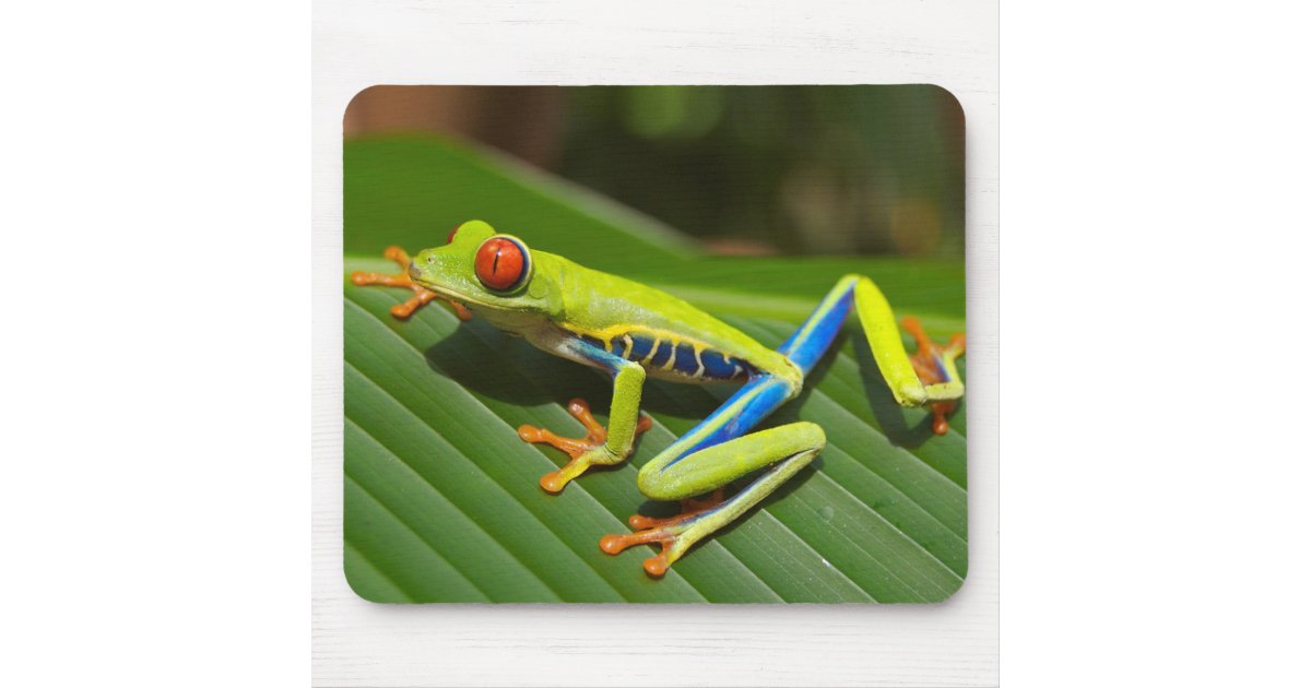 Red eyed tree frog mouse pad | Zazzle