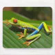 Red eyed tree frog mouse pad | Zazzle