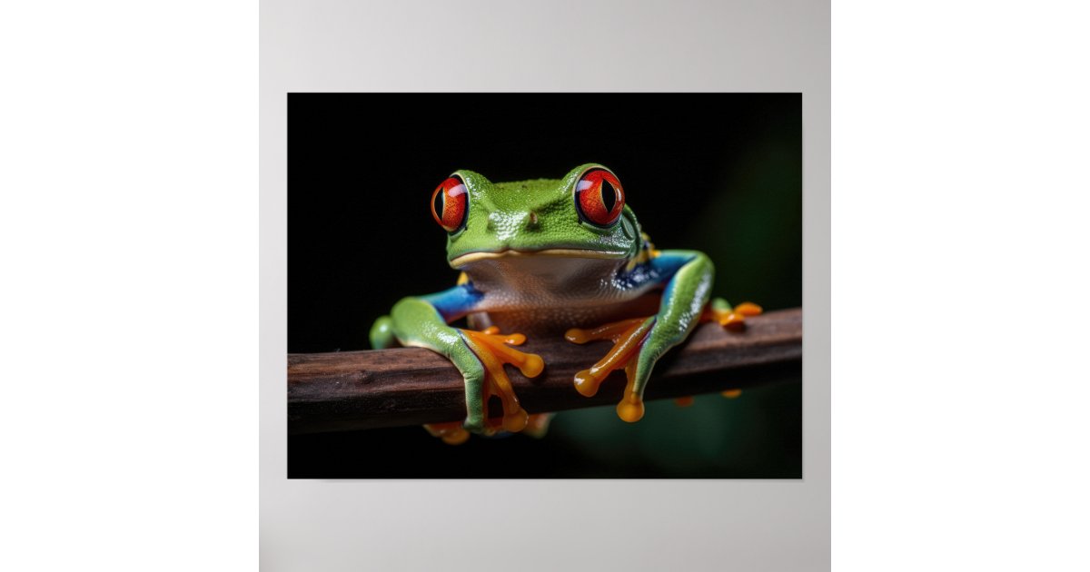 Red eyed tree frog poster | Zazzle