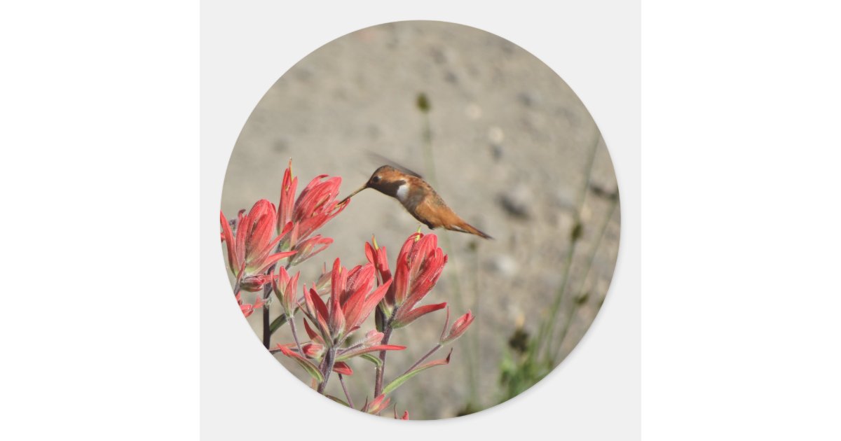 Red flower bird classic round sticker | Zazzle