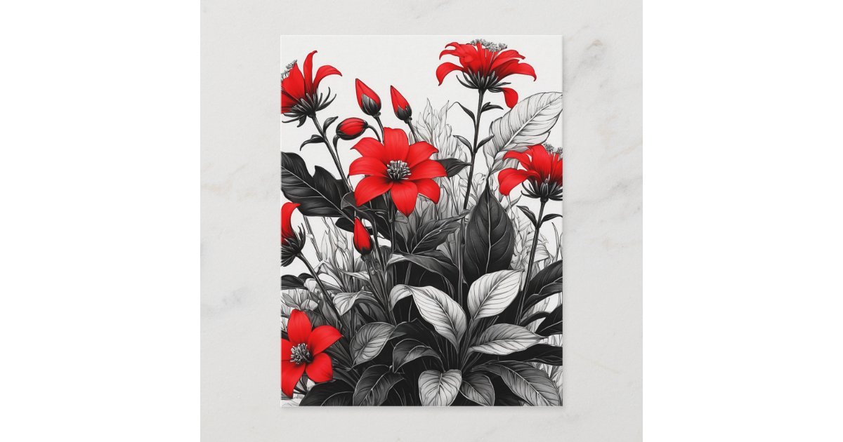 Red Flower On Black White Plant Postcard | Zazzle