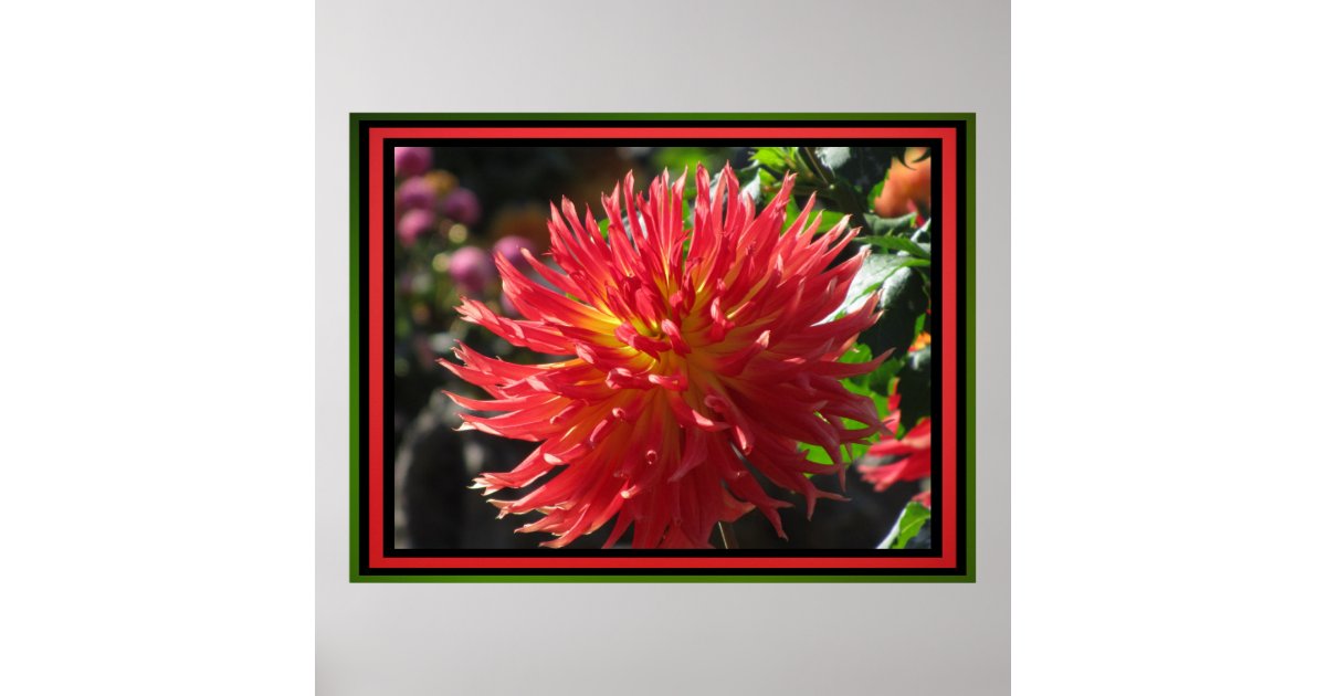 Red Flower Poster | Zazzle