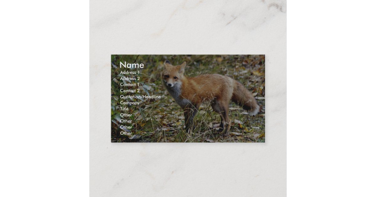 Red Fox Business Card | Zazzle