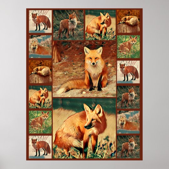 Red Fox Collage Poster | Zazzle.com